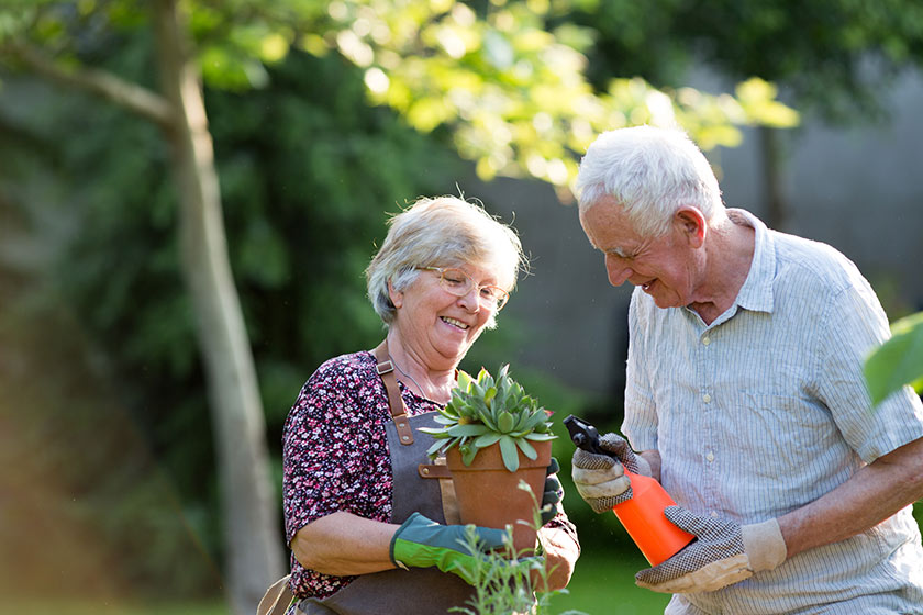A Guide To Gardening For Seniors - Discovery Village
