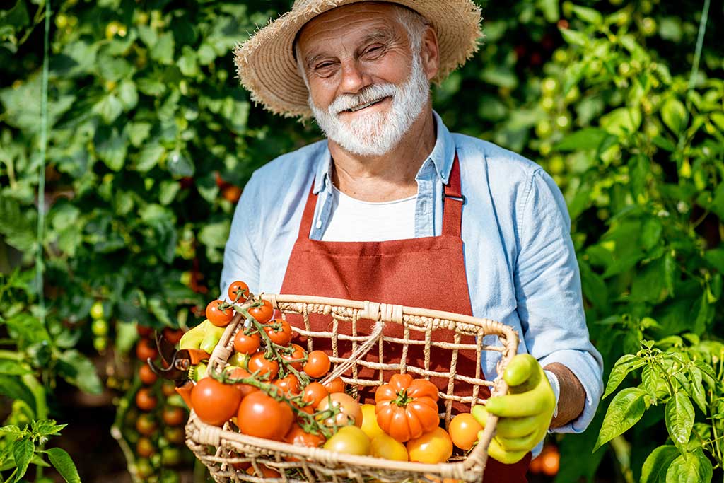 Best Hobbies For Elderly To Stay Active In Retirement - Discovery Village