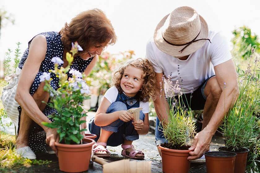 Four Productive Activities You Should Try In Retirement - Discovery Village