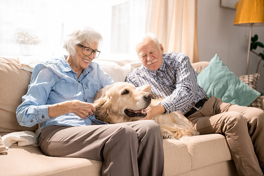 Fun Hobbies That Promote Good Health In Seniors - Discovery Village