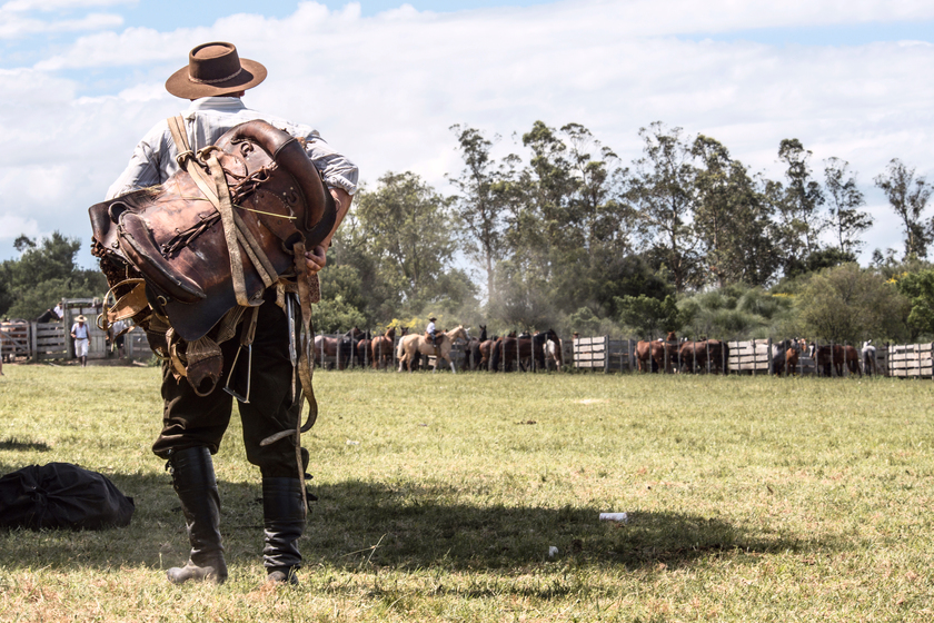 Cowboy Culture: 8 Western Heritage Sites To Explore When Retiring In ...