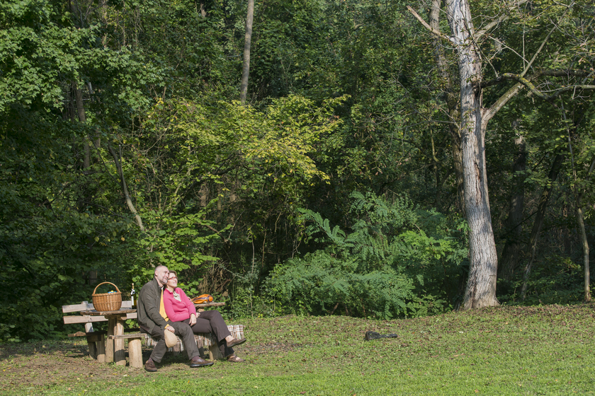 Where To Go To Spend Your Day Outdoors While Staying In 55+ Communities ...