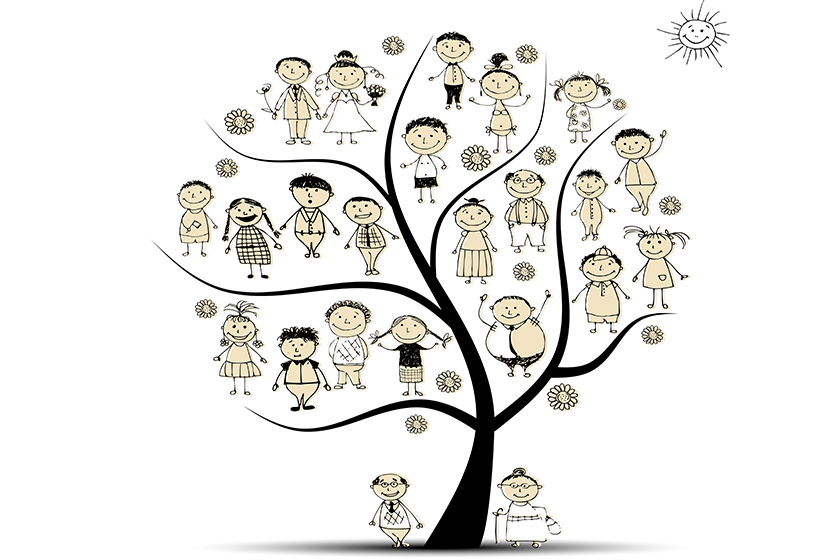 How Making Your Family Tree Can Be A Heartwarming Activity For Seniors ...