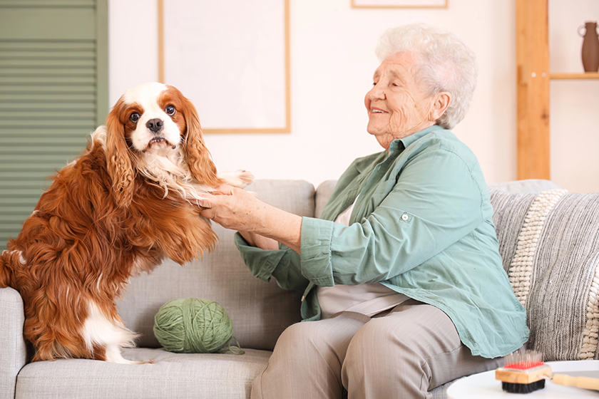 How Pets Bring Joy And Comfort To Dementia Patients - Discovery Village