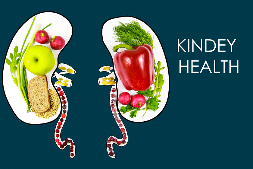 A Senior's Guide To Promoting Kidney Health - Discovery Village