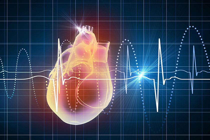 Discovering Heart Changes Caused By Aging - Discovery Village